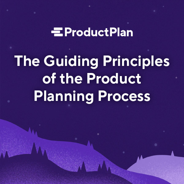 Download Our Book on the Product Planning Process