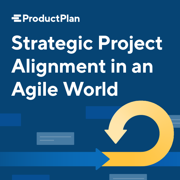 Download Our Guide on Strategic Alignment in an Agile World