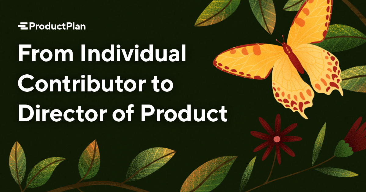 Download Our Book on How to Become a Director of Product